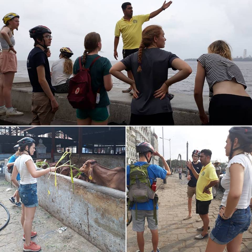 South Mumbai Heritage Bicycle Tour | Mumbai Dream Tours